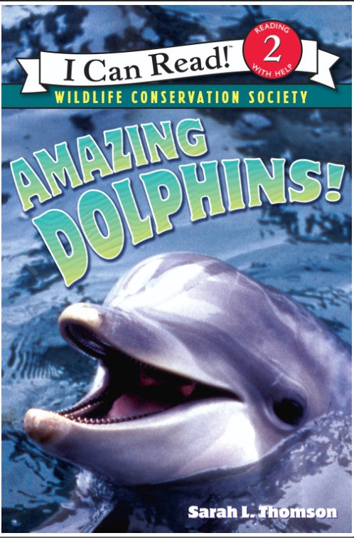 Amazing Dolphins! – Speckled Frog Toys & Books
